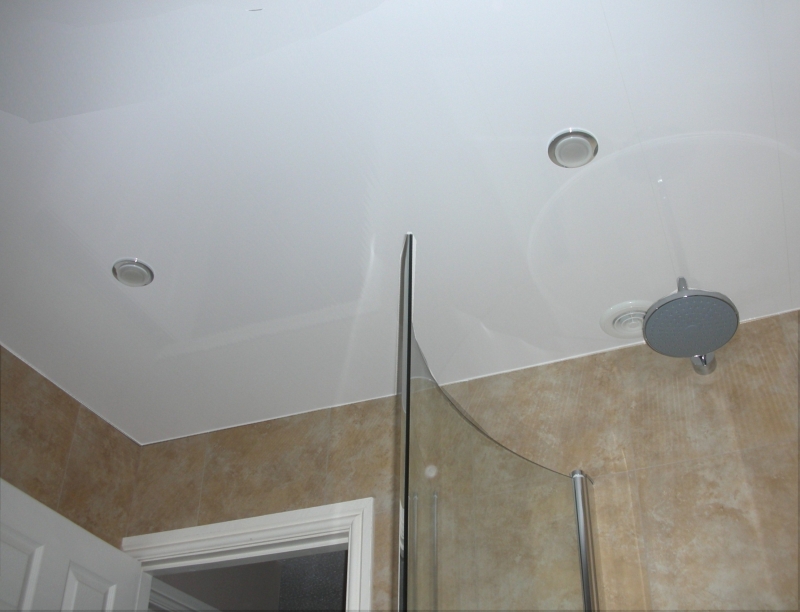 Bathroom Ceiling Panels Ireland | Shelly Lighting